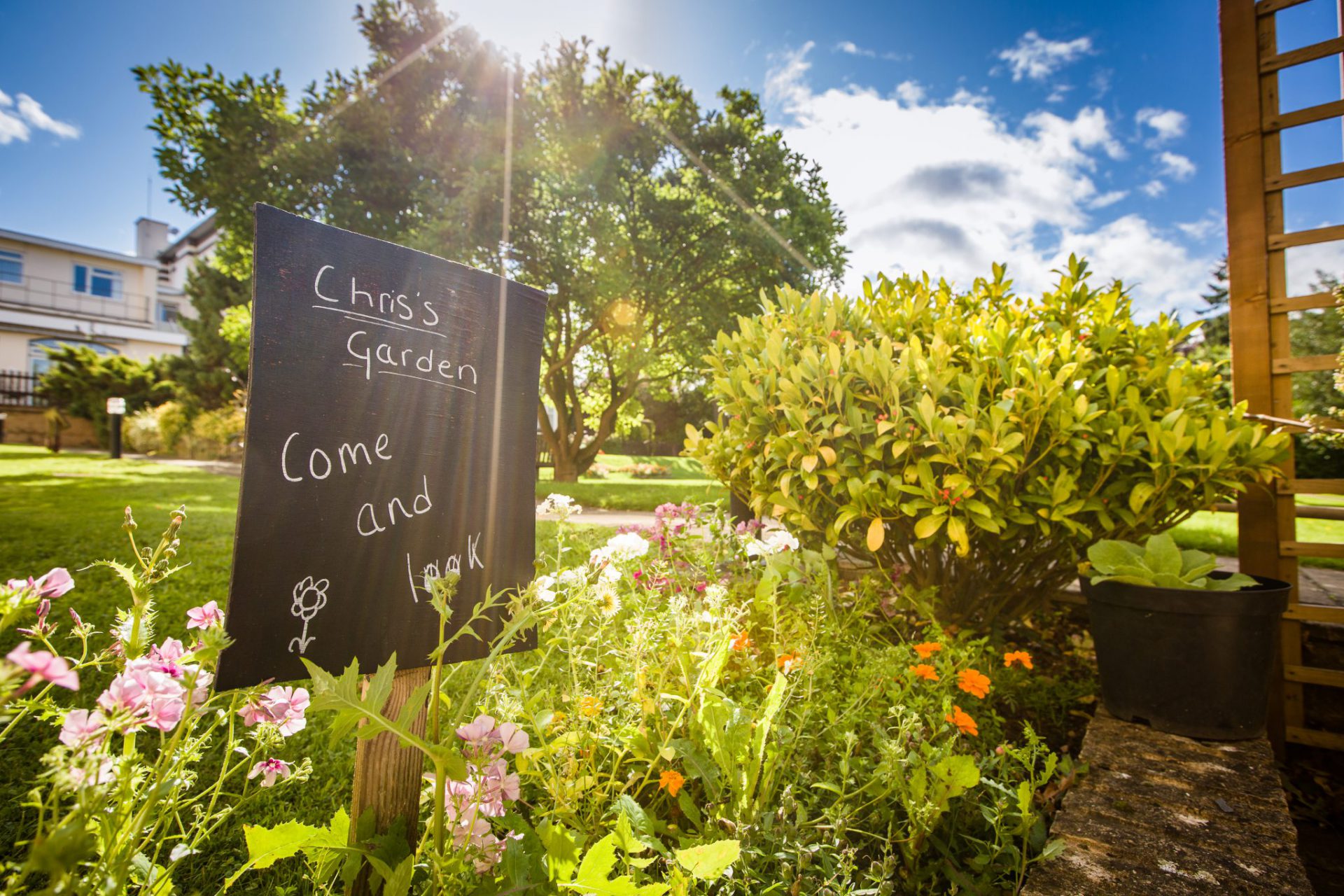 Jobs Archive - Castel Froma Neuro Care