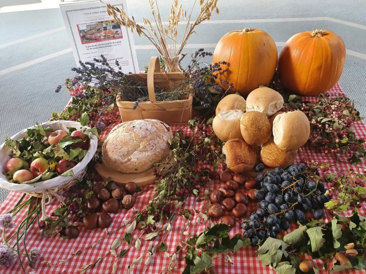 Harvest Festival - Castel Froma Neuro Care